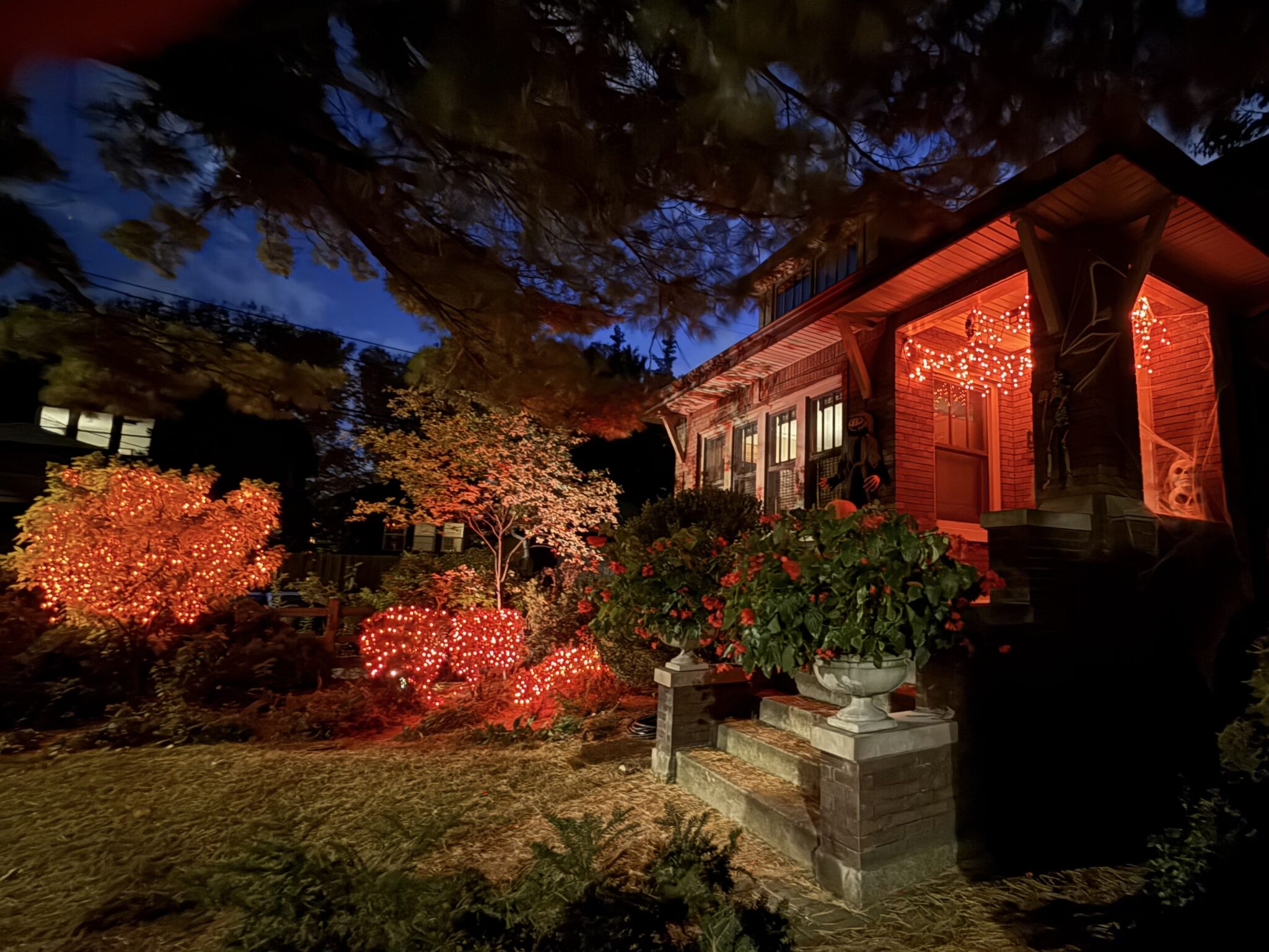 Halloween Safety – Ravenswood Manor Improvement Association